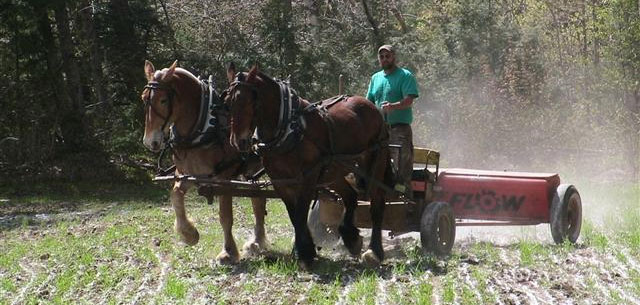 Free Individual Digital Advising to Help Farm & Forest Ventures Improve ...